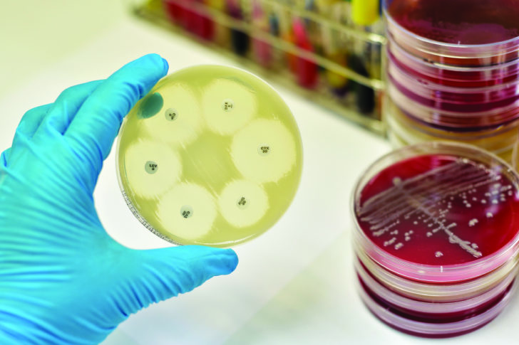 WHO publishes first AMR surveillance report - The Pharmaceutical Journal