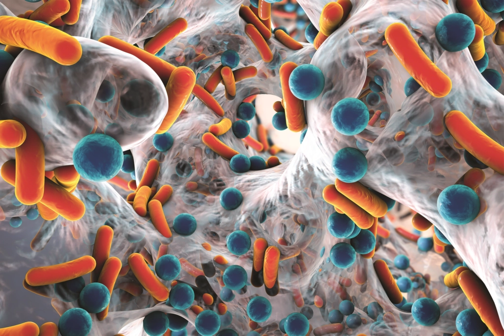 Genome sequencing reveals how MRSA spreads - The Pharmaceutical Journal