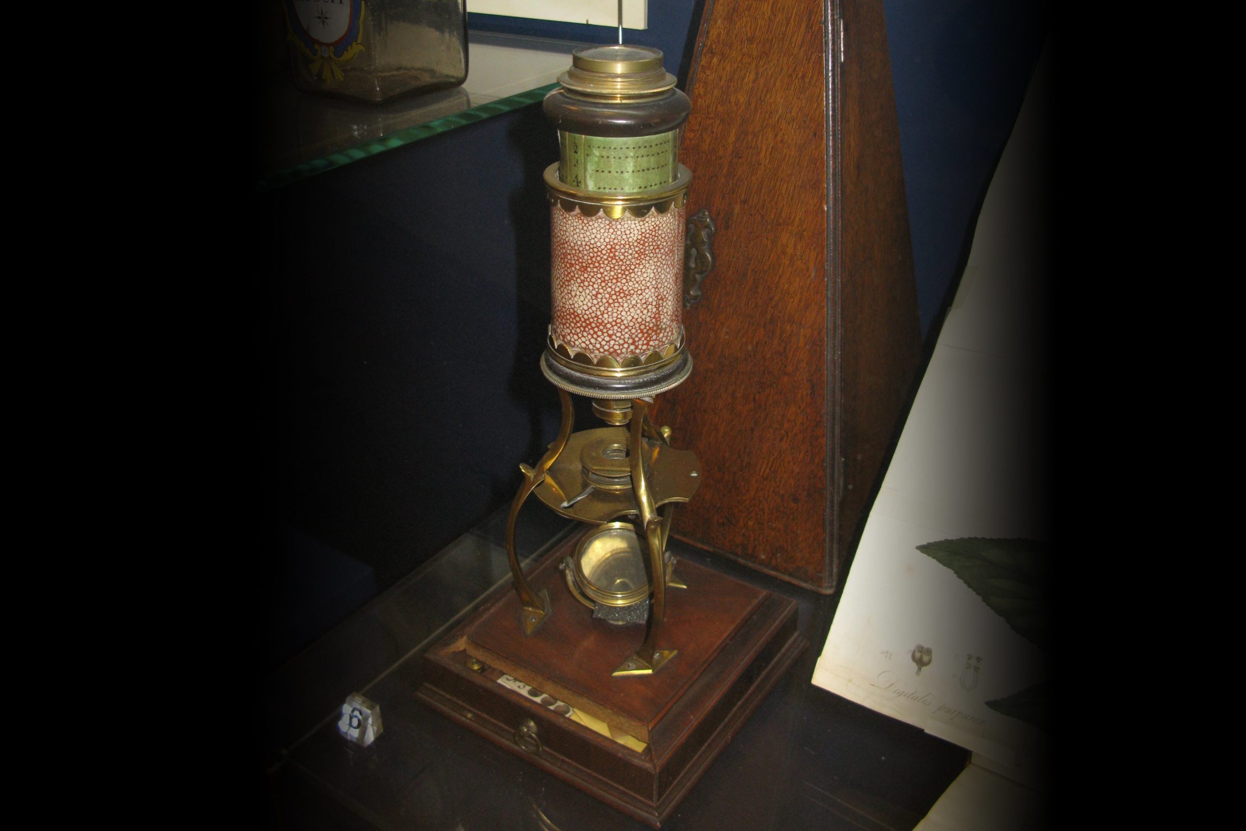 Culpeper-type compound microscope, 1760 - The Pharmaceutical Journal