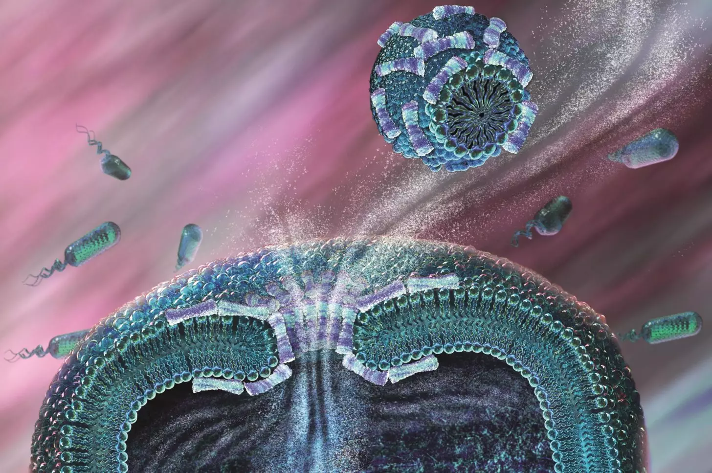 Principles of initiating antimicrobial therapy and empiric prescribing ...