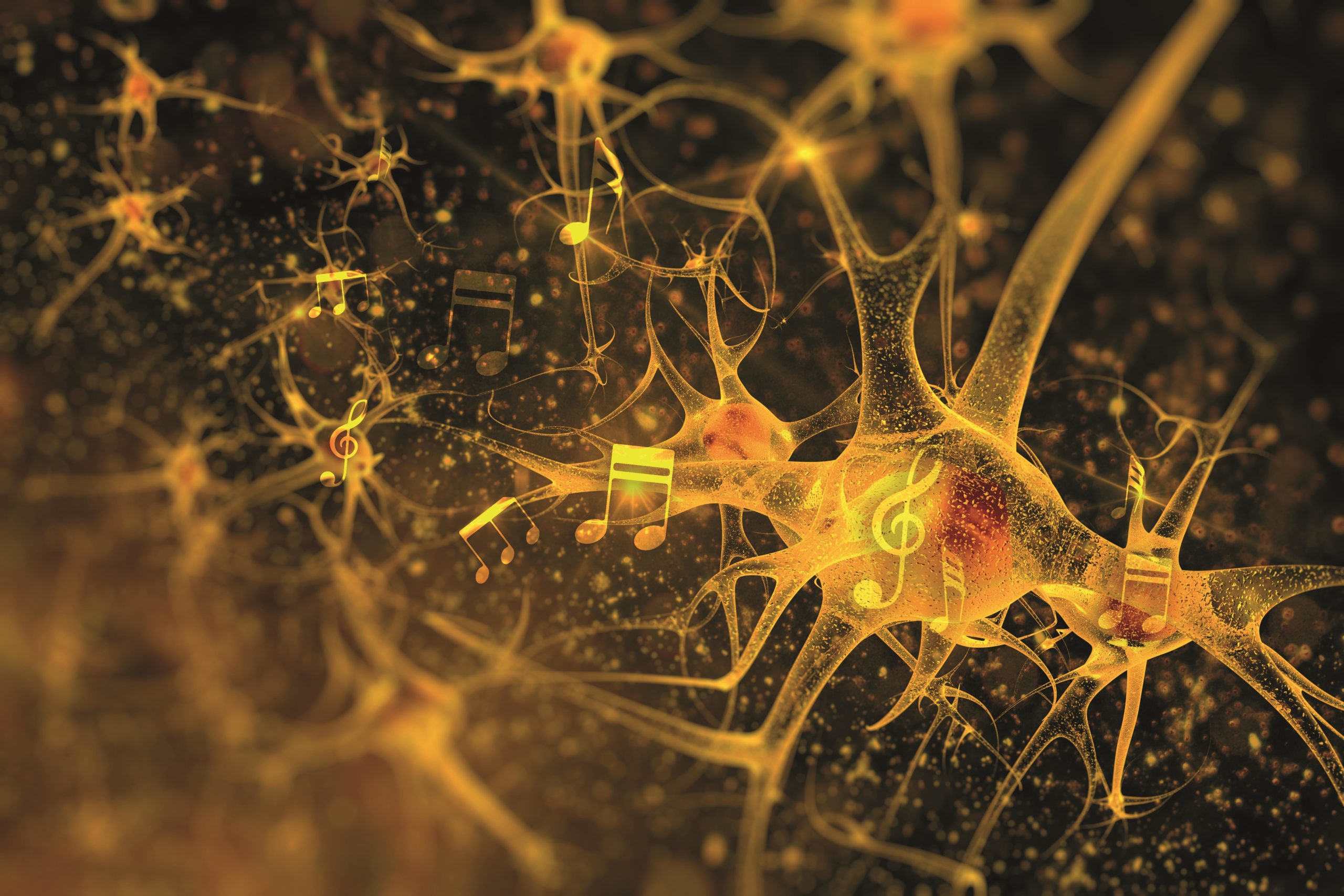 The Mozart effect in children with epilepsy - The Pharmaceutical Journal