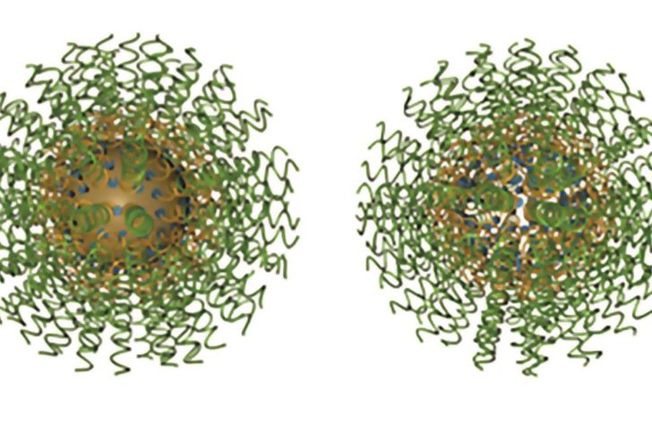Nucleic acids made into furry nanoballs modulate immune system - The ...