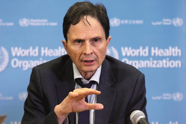 Q&A: The story on the Zika virus and microcephaly so far - The ...