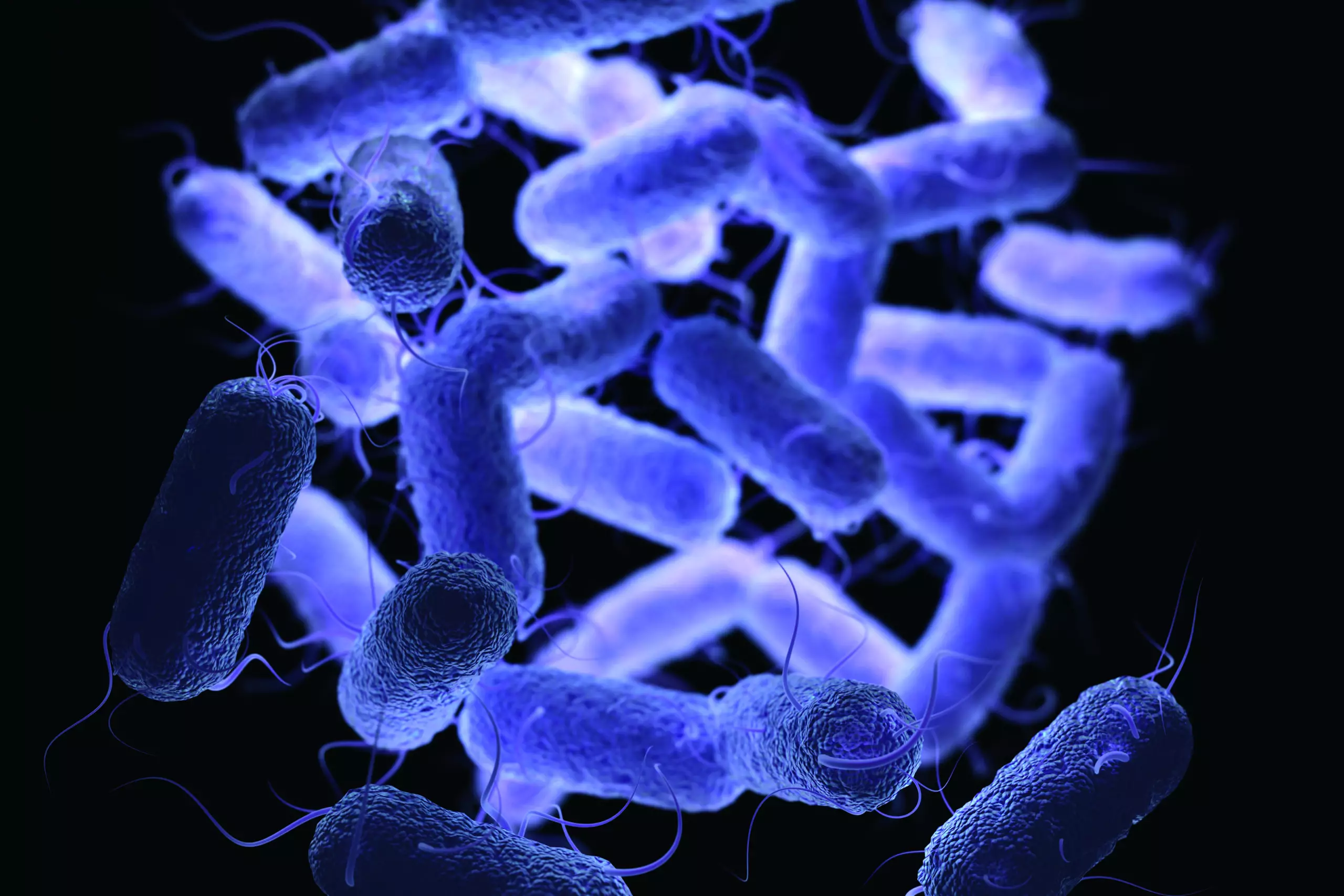 Risk of drug-resistant sepsis raised for three years after bacteria ...
