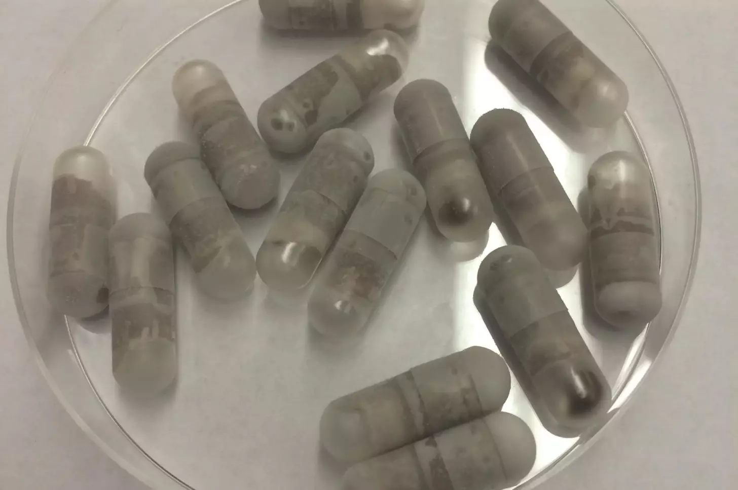 Faecal transplant therapy delivered effectively by oral capsule - The ...