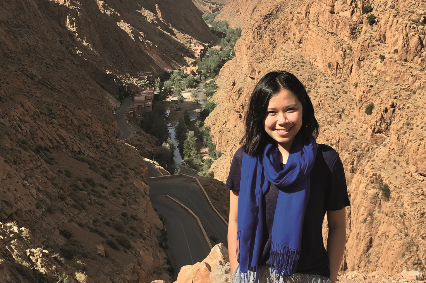 Managing risk and protecting patient safety as an internal audit ...