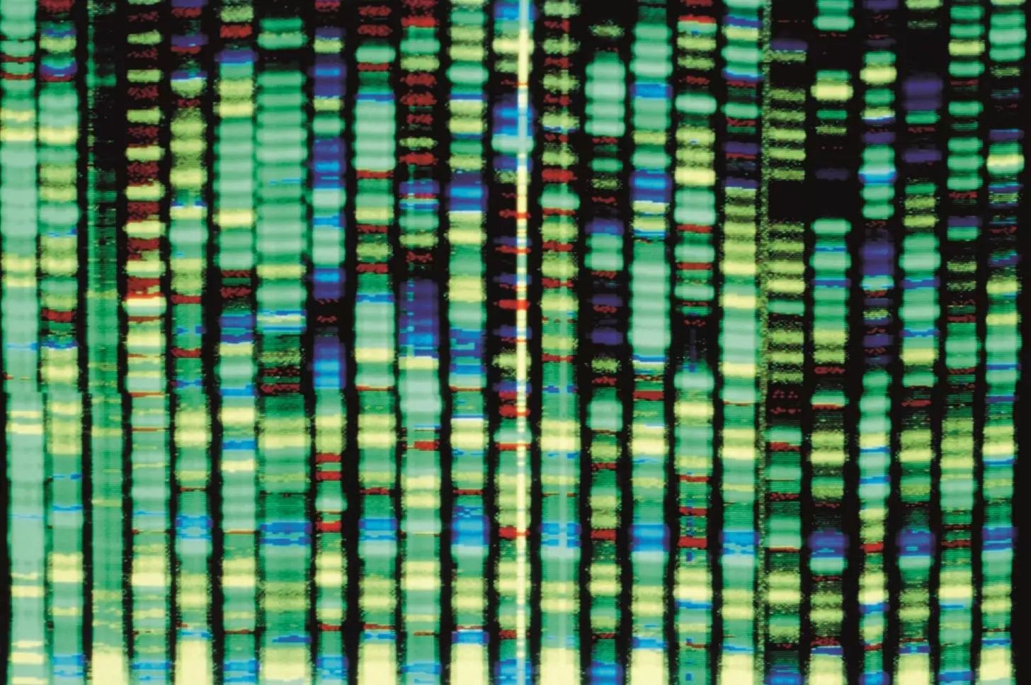 Genes influence response to statins, research finds - The ...