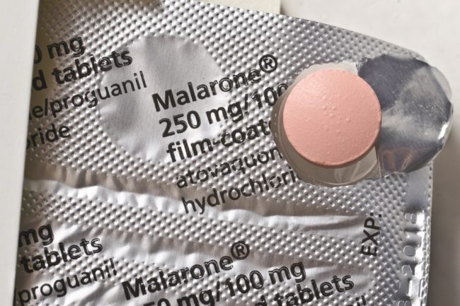 Resistance to antimalarial atovaquone does not spread - The ...