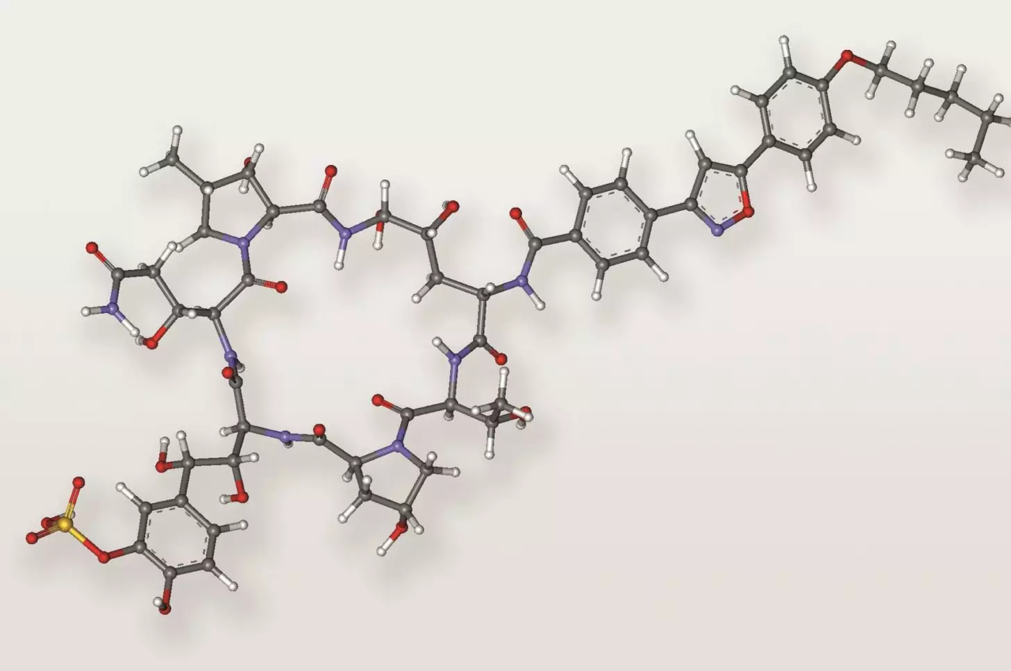 Micafungin well tolerated by leukaemia patients - The Pharmaceutical ...