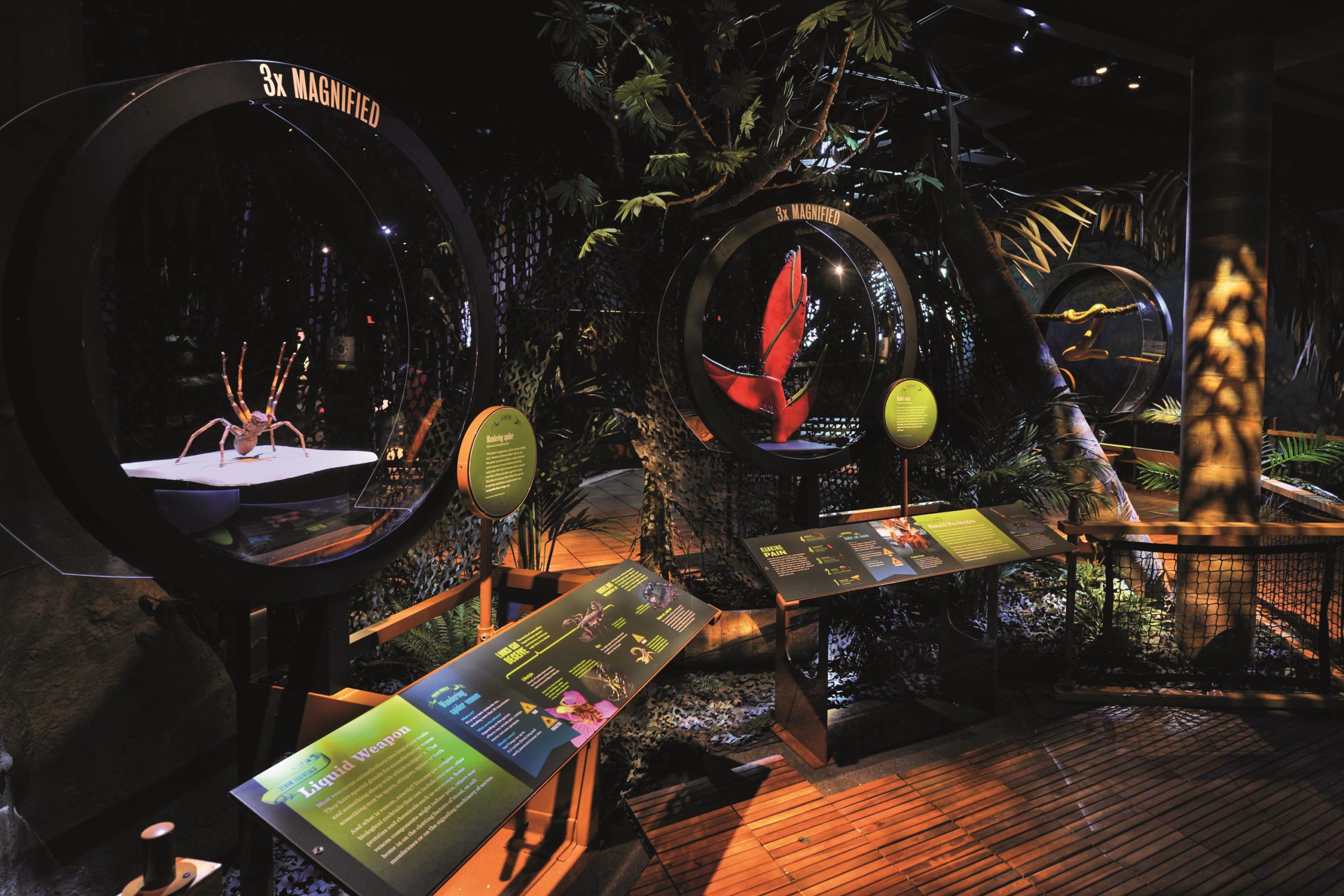 Power of Poison review: venomous creatures and poisonous tales - The ...