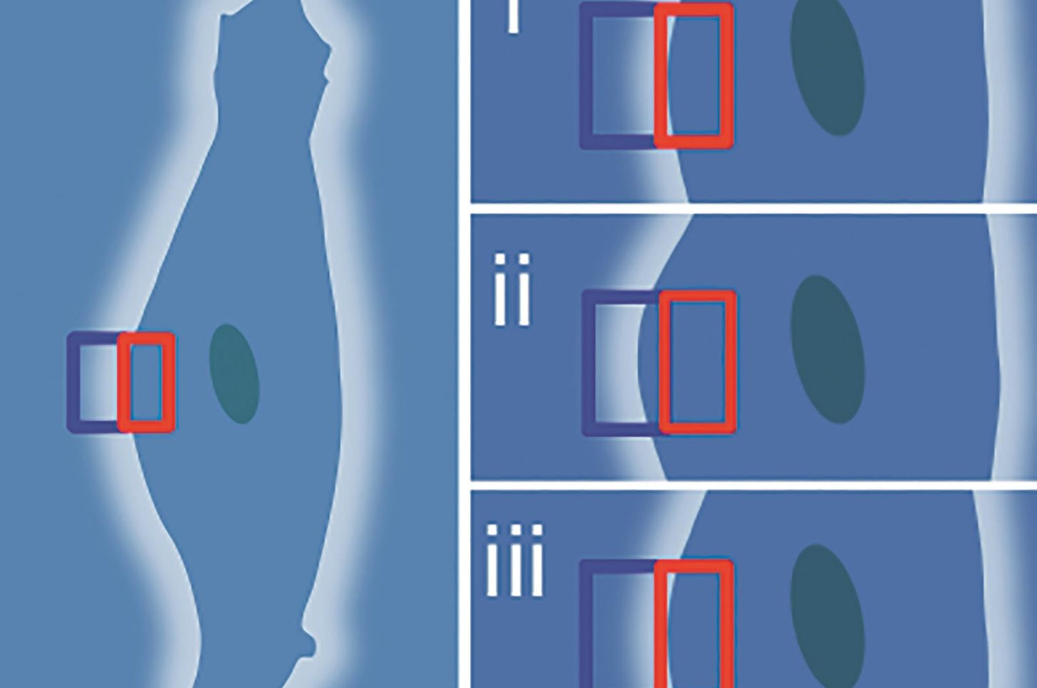 New method to test drug-membrane interactions - The Pharmaceutical Journal