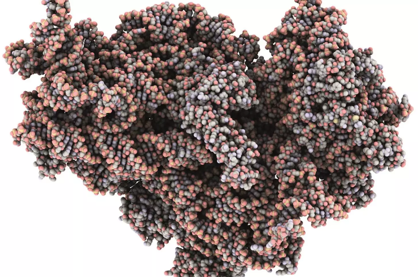 Anticonvulsant lamotrigine could have antibiotic promise, researchers ...