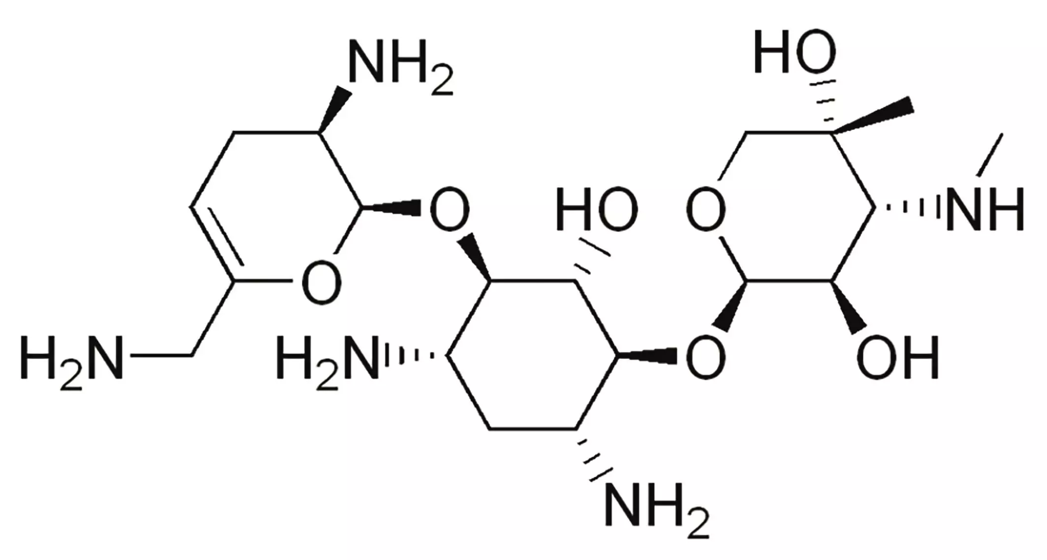 Redesigned aminoglycoside may eliminate risk of hearing loss - The ...