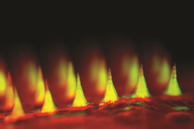 Smart insulin patch delivers ‘fast, painless, continuous dose’ - The ...