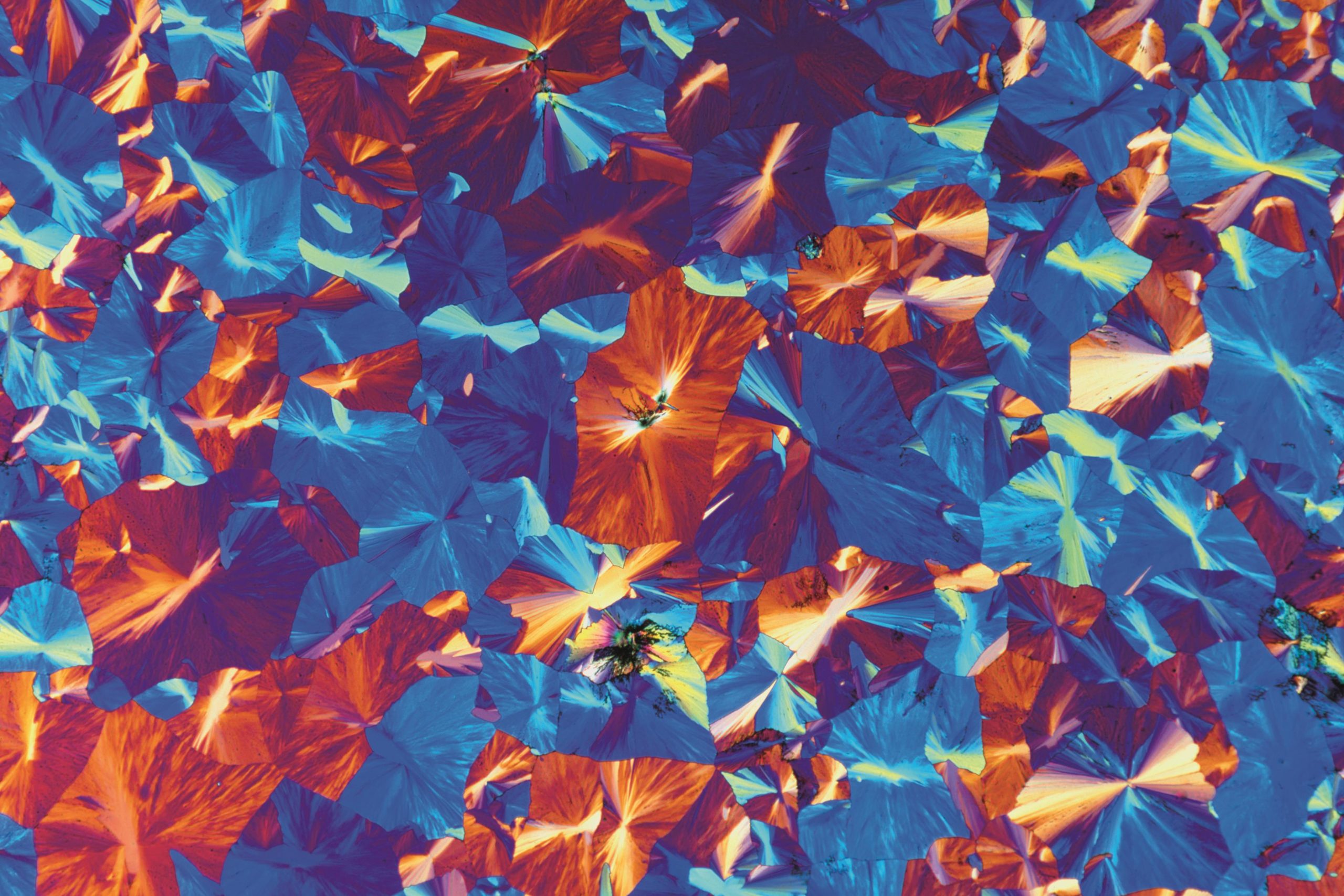 Study supports cardiovascular safety of testosterone - The ...