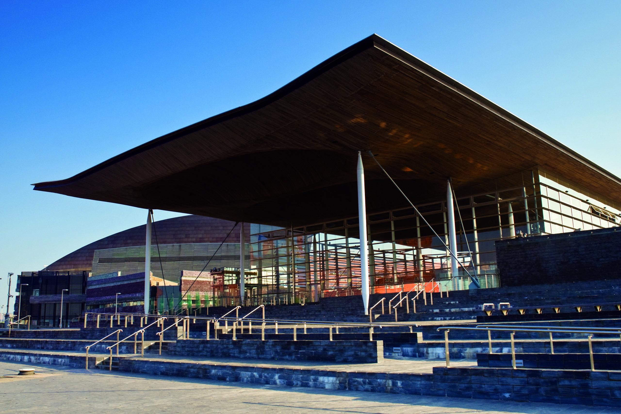 Welsh parliamentary review of health and social care — RPS members ...