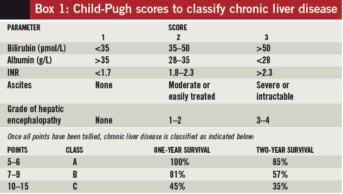 How to interpret liver function tests - The Pharmaceutical Journal