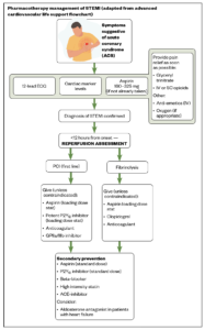 Pharmacotherapy of STEMI: a review of international guidelines - The ...