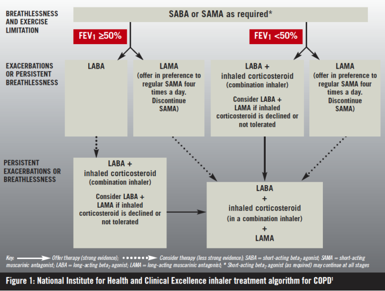 COPD: management - The Pharmaceutical Journal