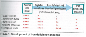 Understanding iron requirements - The Pharmaceutical Journal