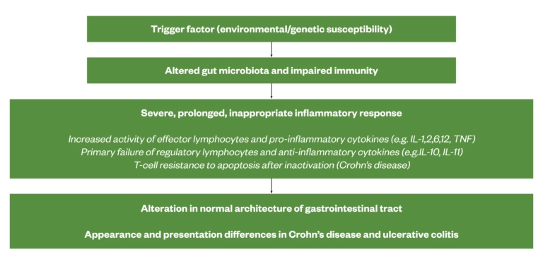 Inflammatory bowel disease: symptoms and diagnosis - The Pharmaceutical ...