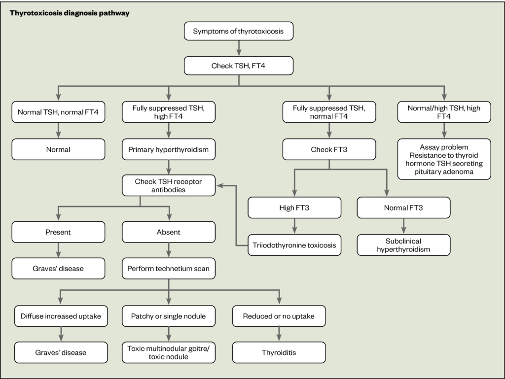Thyrotoxicosis and hyperthyroidism: causes, diagnosis and management ...