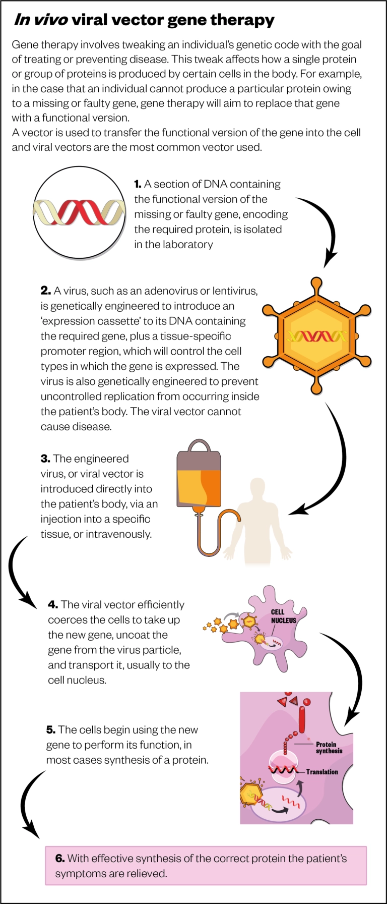 Gene therapy: from catastrophe to cure in 20 years - The Pharmaceutical ...