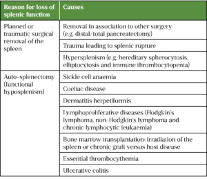 Asplenia and hyposplenism in adults: recognition, diagnosis and ...
