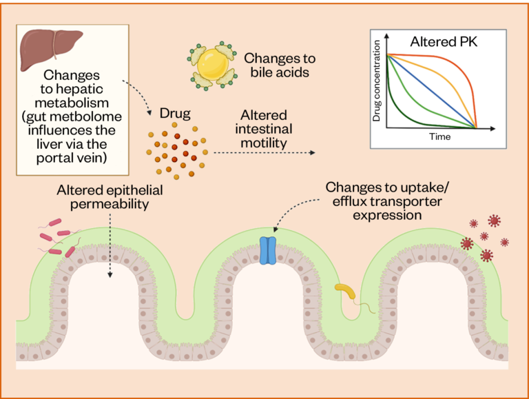 Addressing drug–microbiome interactions: the role of healthcare ...