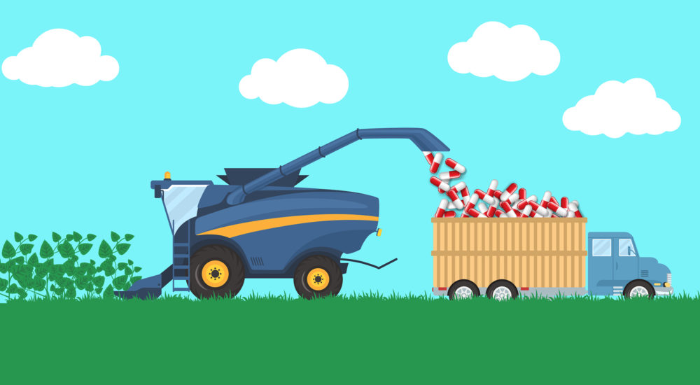 Going plant-based: how molecular farming could revolutionise drug ...