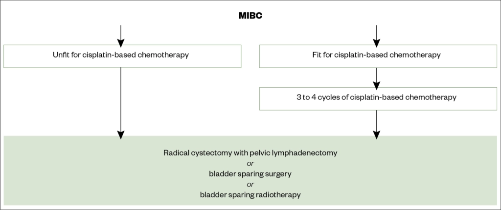 Bladder cancer: management - The Pharmaceutical Journal