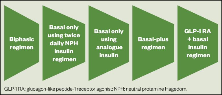 Case-based learning: insulin intensification in a Hindu patient with ...