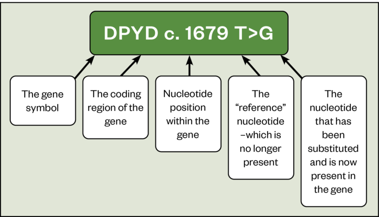 DPYD genetic testing and the future of pharmacogenomic testing in ...