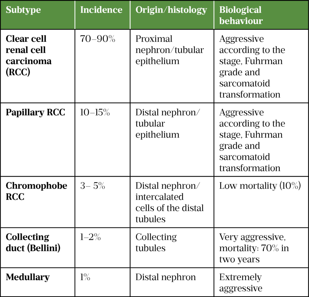 Renal cancer: management - The Pharmaceutical Journal