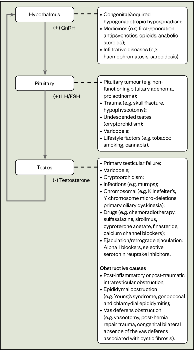 Infertility in men: assessment and treatment - The Pharmaceutical Journal