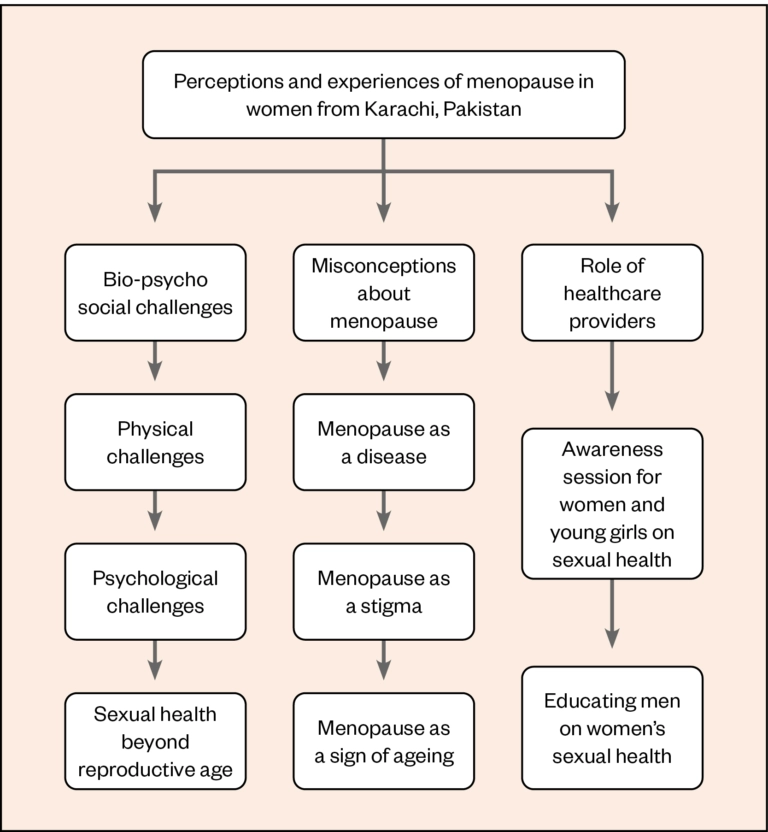 Should menopause management differ between ethnic groups? - The ...