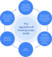 Insulin in practice for people with type 2 diabetes mellitus - The ...