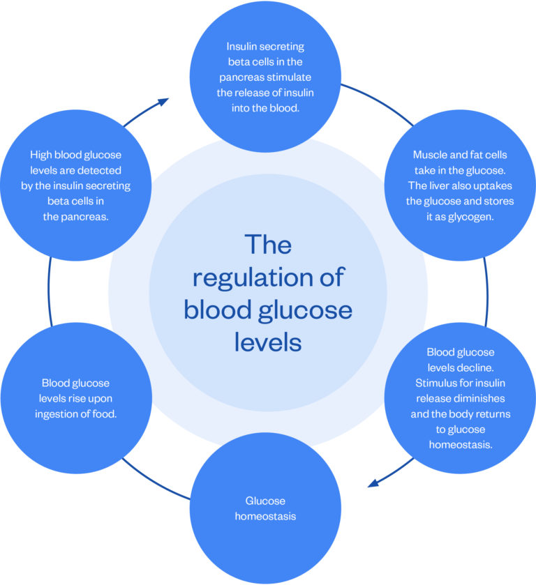 Insulin in practice for people with type 2 diabetes mellitus - The ...