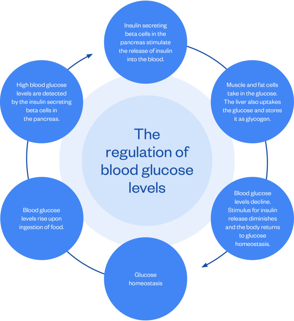 Insulin in practice for people with type 2 diabetes mellitus - The ...