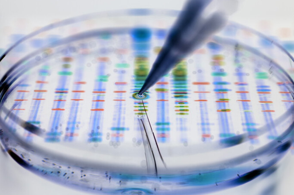 Pharmacy bodies call for pharmacists to be involved in delivery and ...