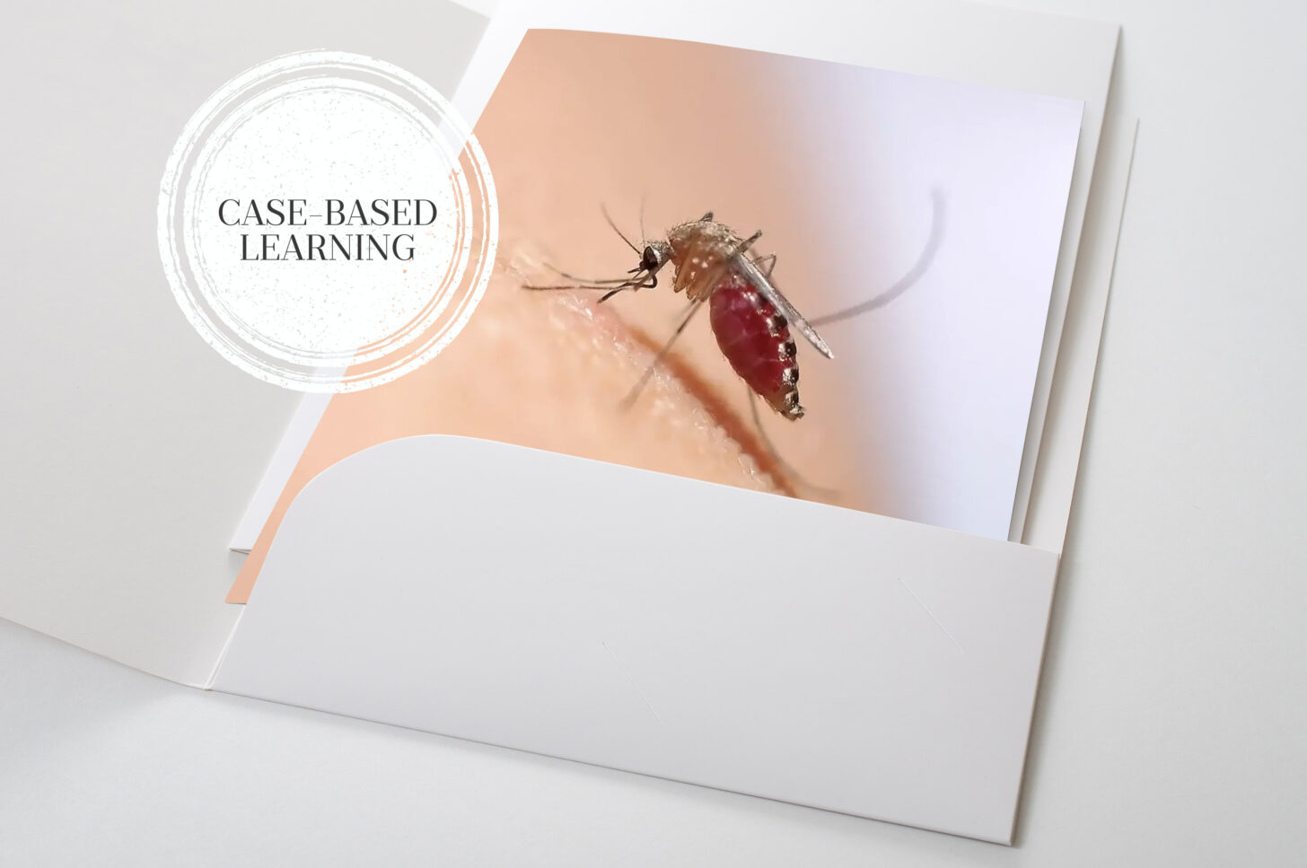 Case-based learning: insect bites and stings - The Pharmaceutical Journal