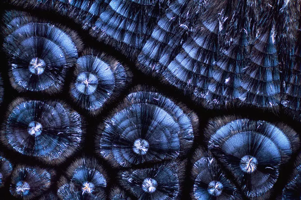 Statin alternative may be as effective in cutting risk of heart attack ...