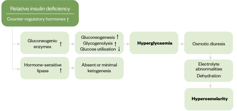 Acute complications of diabetes in adults: diagnosis and management ...