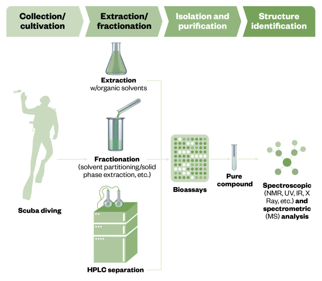 Pharmaceuticals from marine sources: past, present and future - The ...