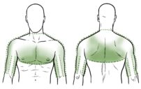 Cardiac chest pain: identification, referral and management in primary ...