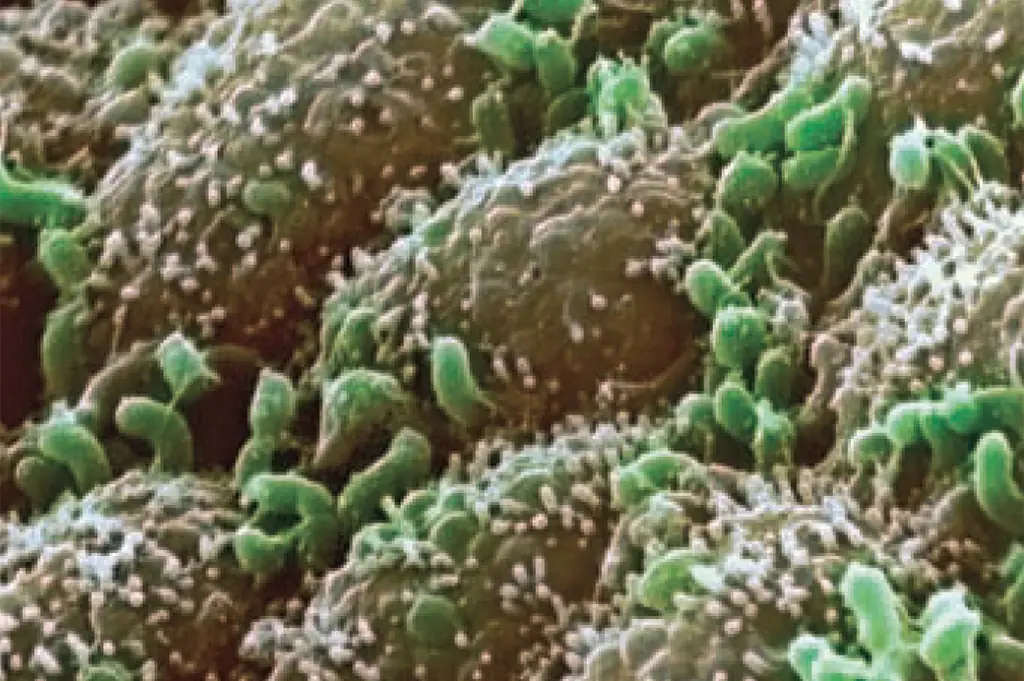 Microbiomics: its growing significance in the world of medicines ...