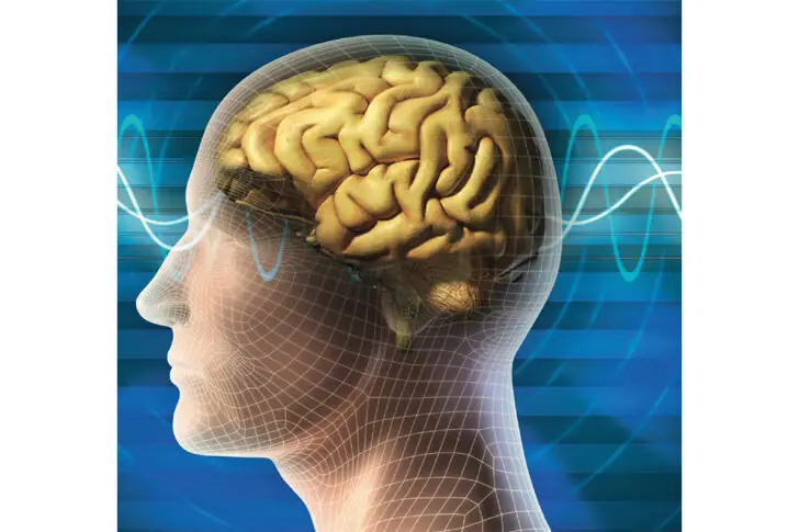 Cognitive enhancers: what they are, how they work and what is in the ...