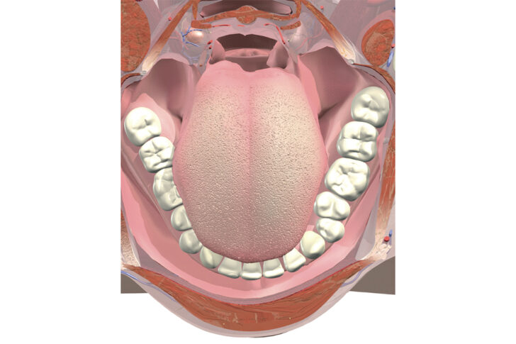 Research and developments in buccal and sublingual drug delivery ...