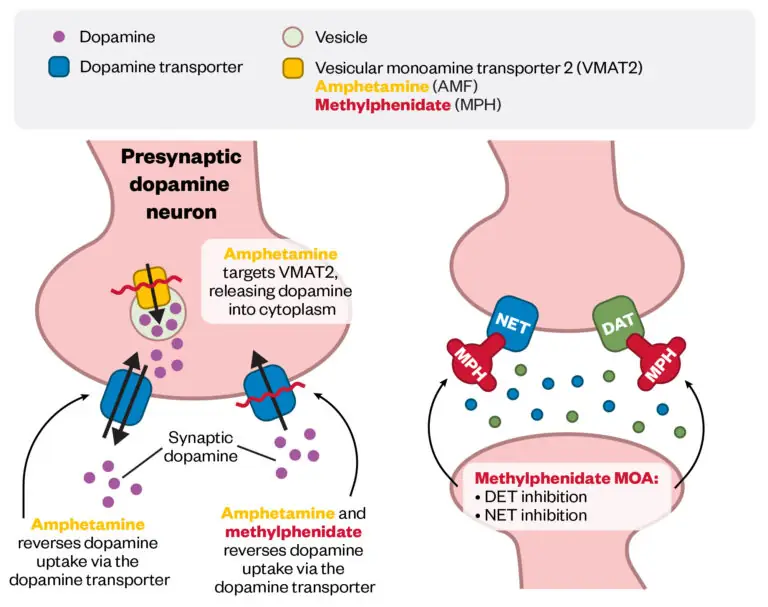 Stimulant and non-stimulant agents for ADHD - The Pharmaceutical Journal