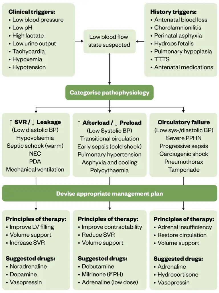 Premature birth: managing associated complications - The Pharmaceutical ...